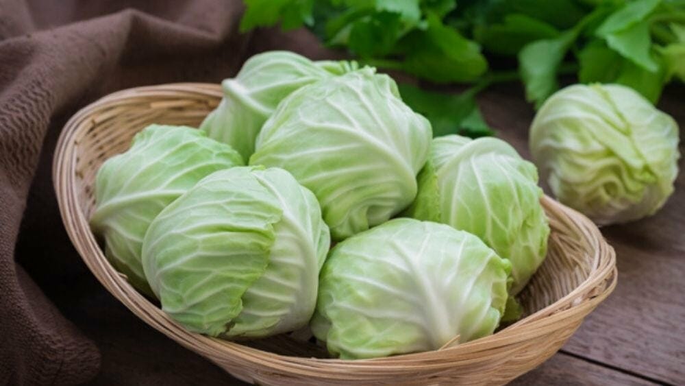 Les bienfaits des choux : 8 variétés à connaître | Aujourdhui.com